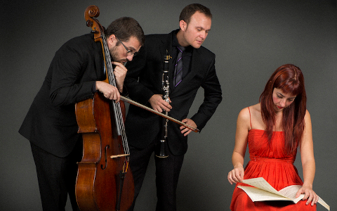 Image Ensemble, al proper concert de la Temporada Musical